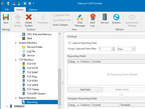 Applying the Reporting Monitor to a System